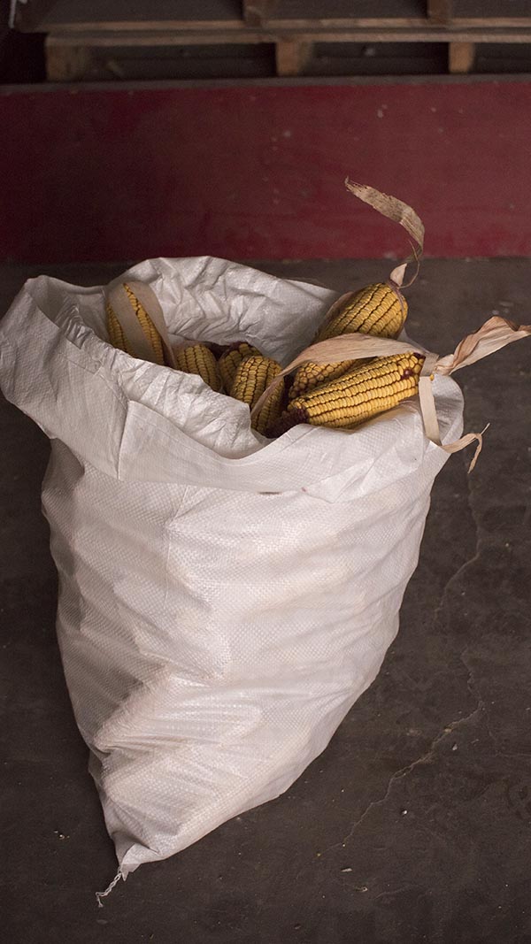 Bagged Ear Corn - Lehman Feed Mill